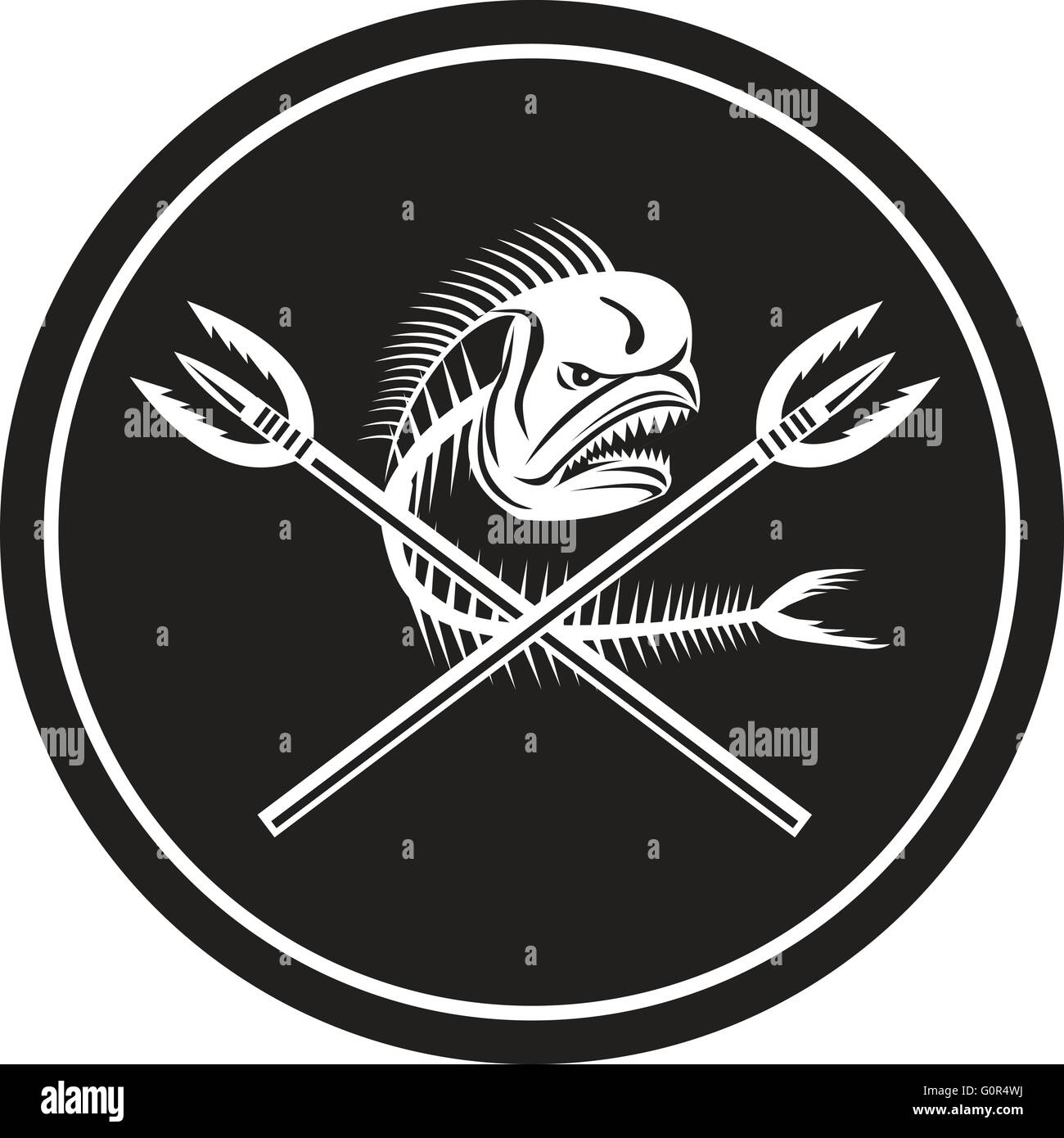 Illustration of a skull of dorado dolphin fish, mahi mahi or mahi-mahi ...