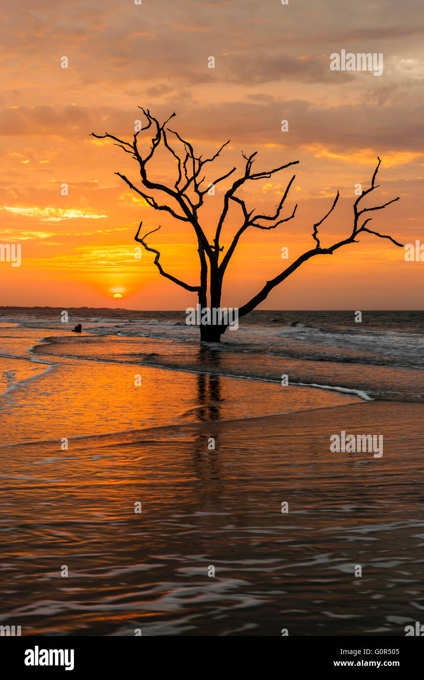 Botany bay on edisto island hi-res stock photography and images - Alamy