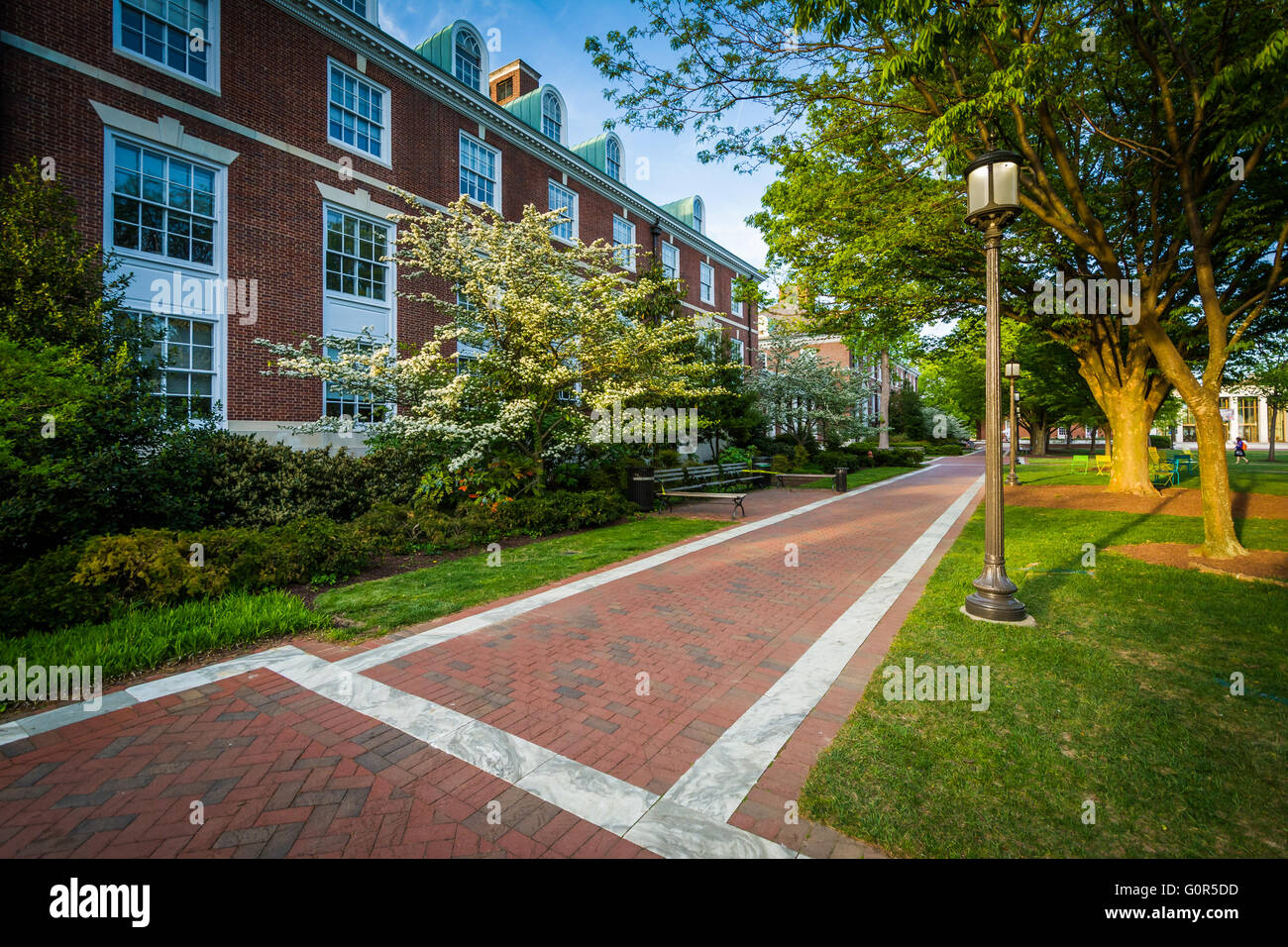 Walkway and building at Johns Hopkins University, in Baltimore ...