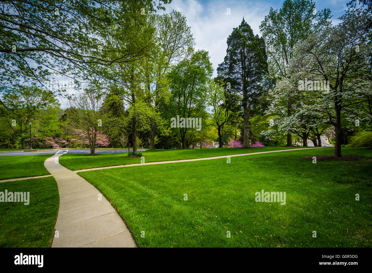 Pink walkway hi-res stock photography and images - Alamy