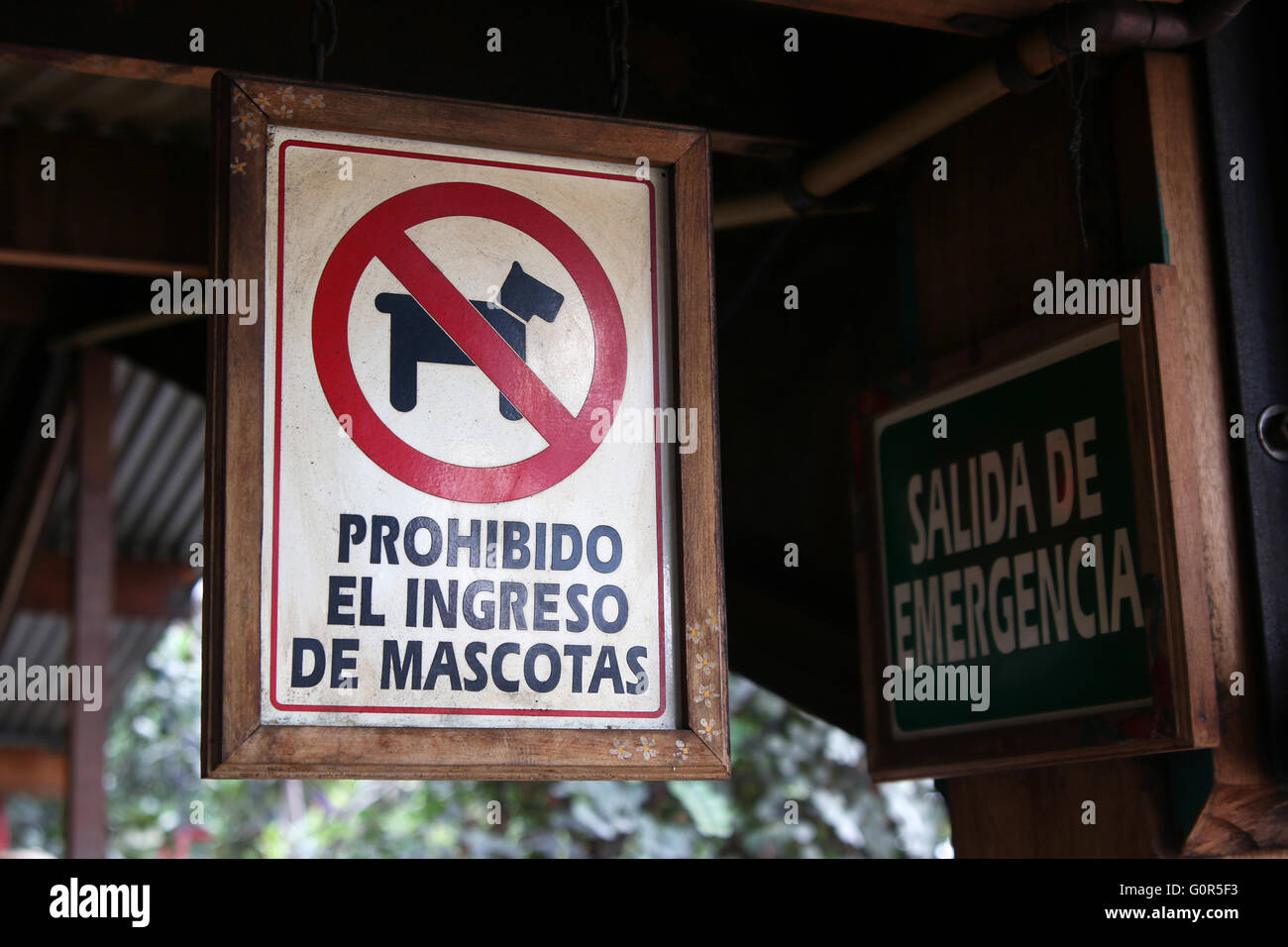 Pets allowed hi-res stock photography and images - Alamy