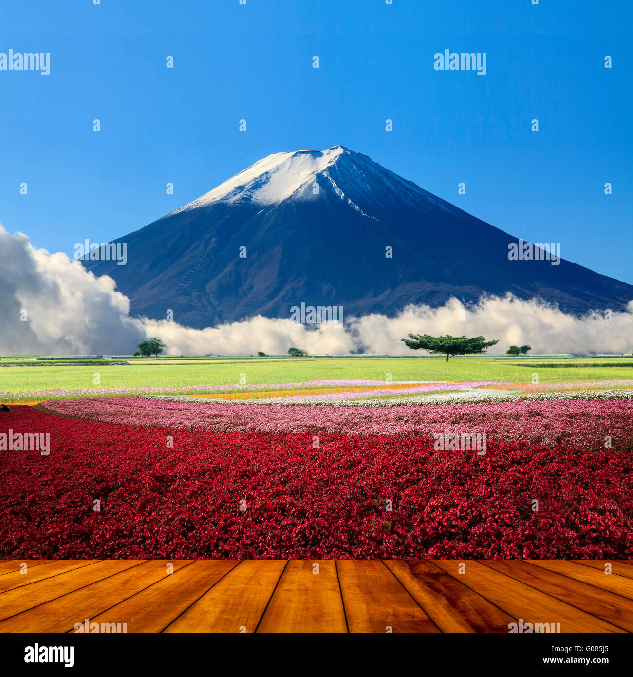 The imaging of beautiful landscape with nice nature color Stock Photo ...