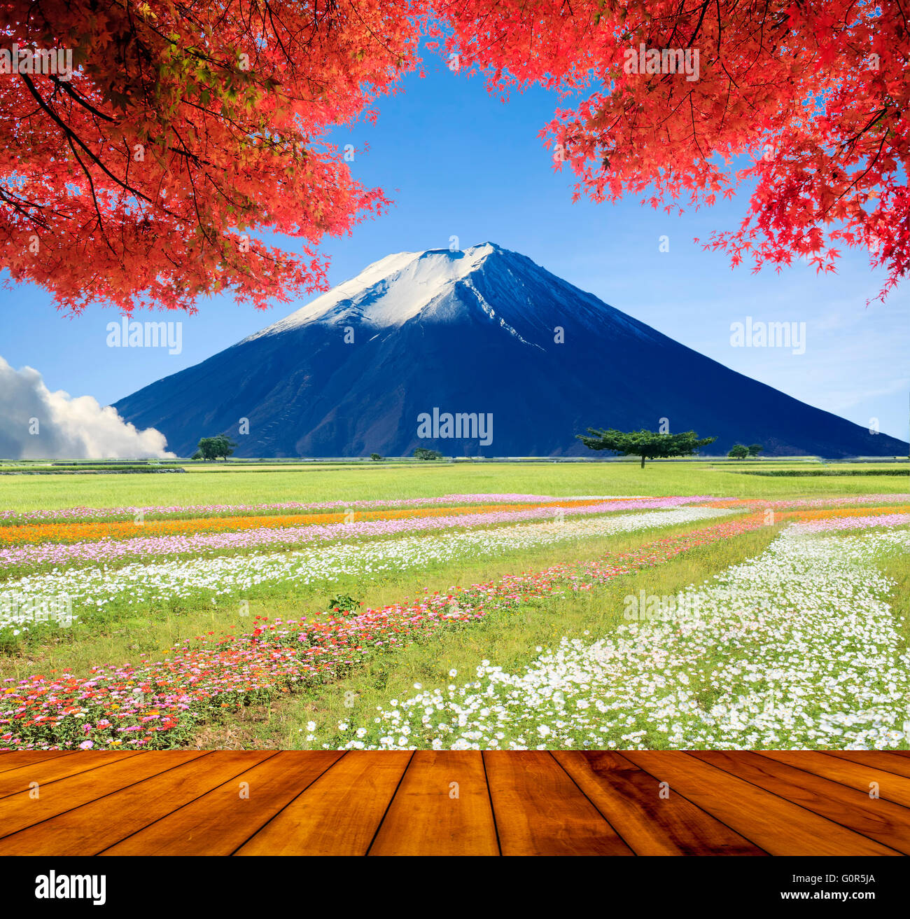 The imaging of beautiful landscape with nice nature color Stock Photo ...