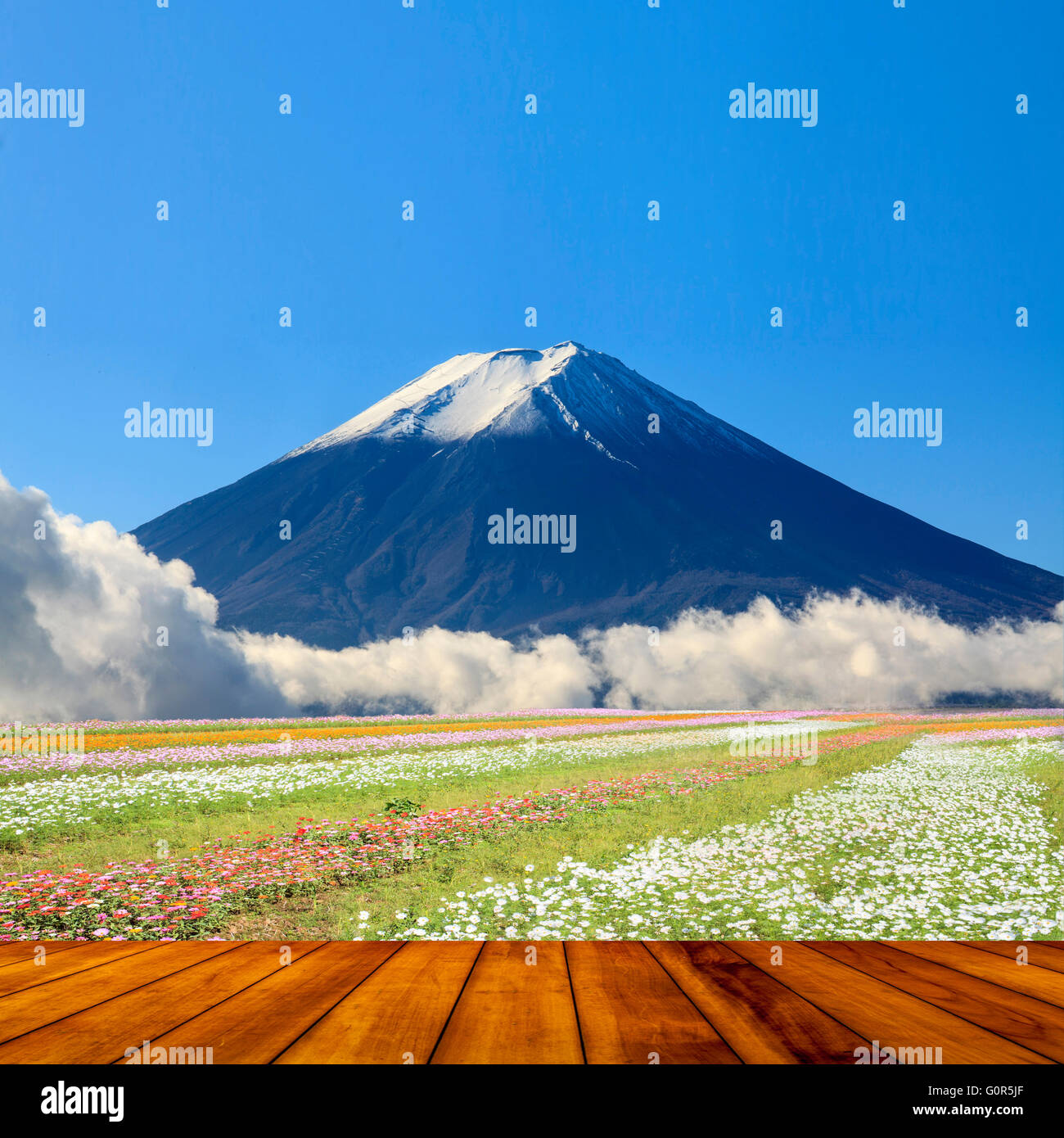 The imaging of beautiful landscape with nice nature color Stock Photo ...
