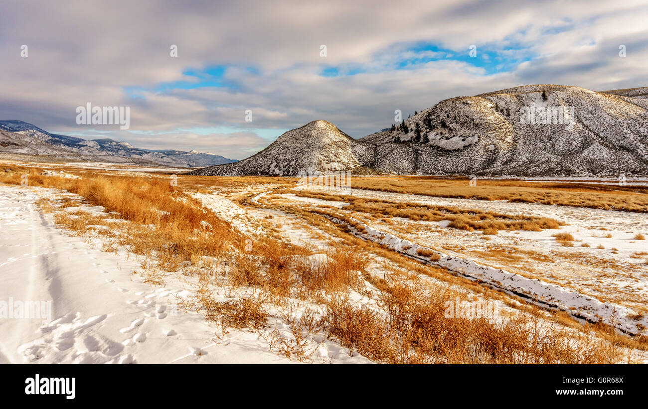 Winter Landscape in the semi desert of the Thompson River Valley in ...