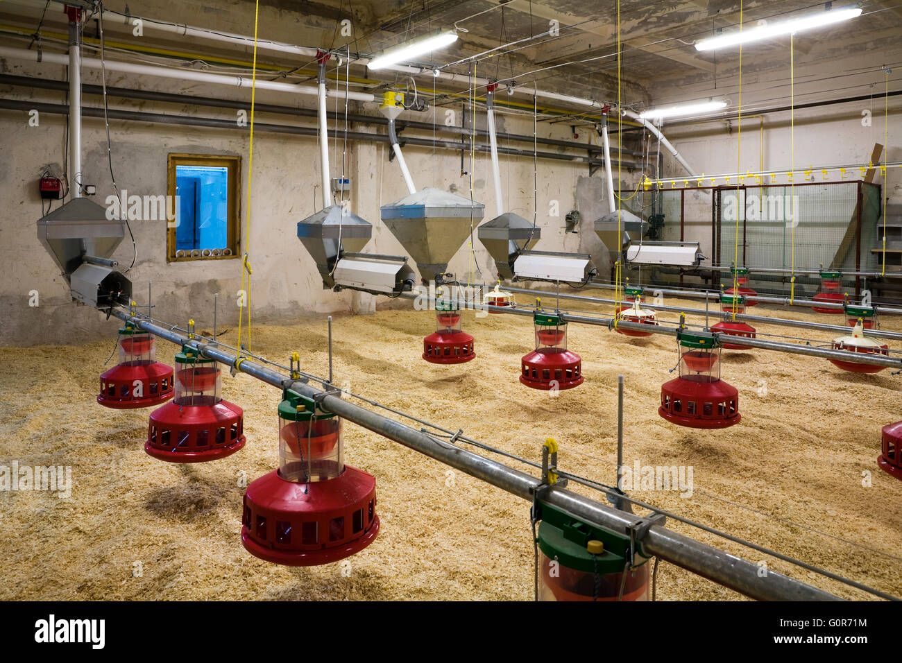The modern and new automated integrated poultry farm Stock Photo - Alamy