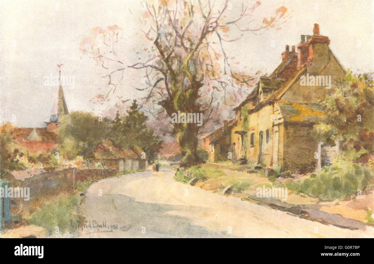 BRAMSHOTT: Attractive view of the village. HAMPSHIRE, antique print ...