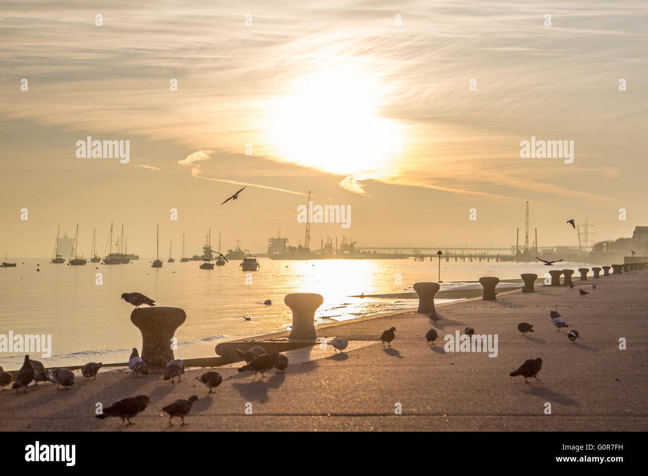 The sun rises over the River Thames at Gravesend, yesterday the weather ...