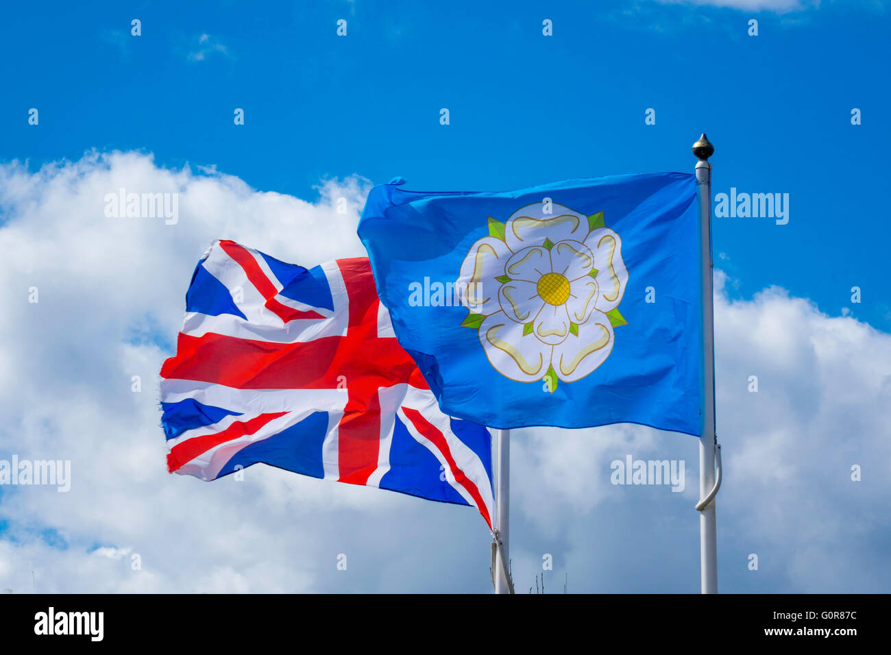 Yorkshire rose hi-res stock photography and images - Alamy