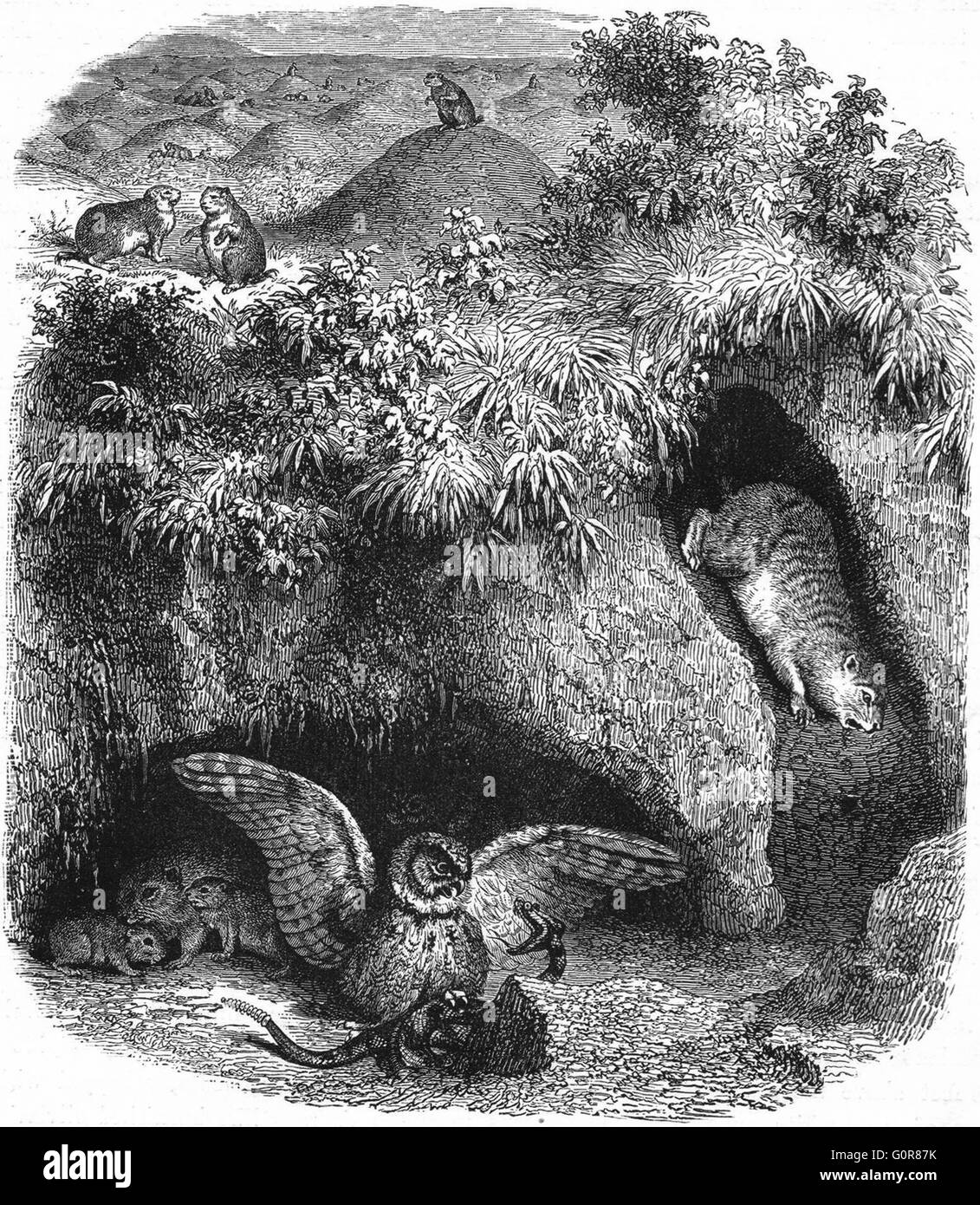 Mountain town united states Black and White Stock Photos & Images - Alamy