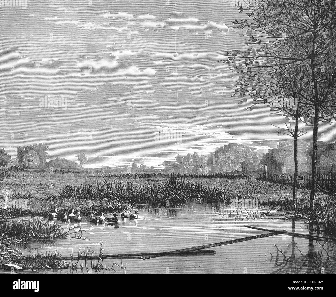 Shore gulf Black and White Stock Photos & Images - Alamy