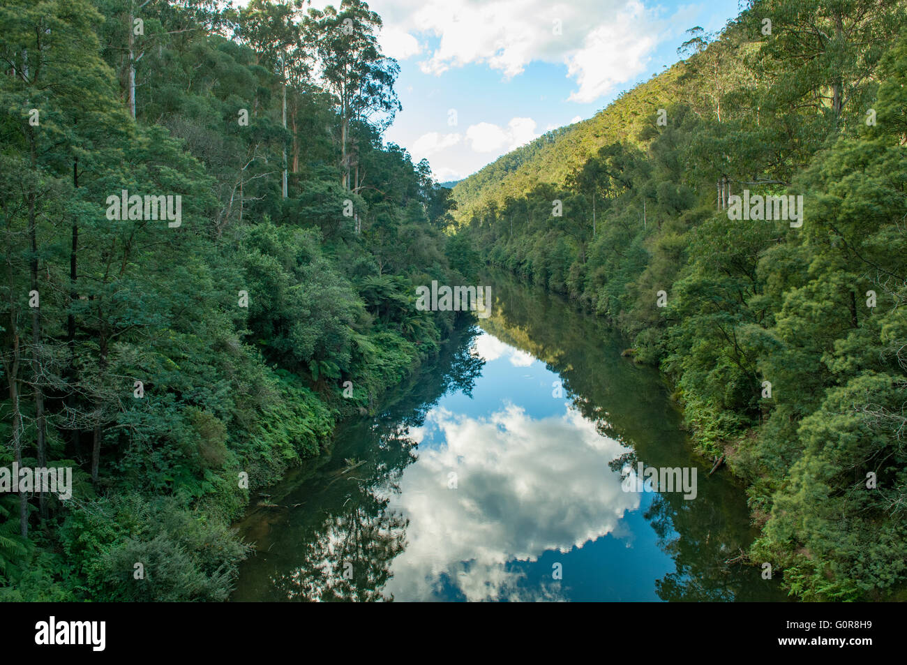 Thomson river hi-res stock photography and images - Alamy
