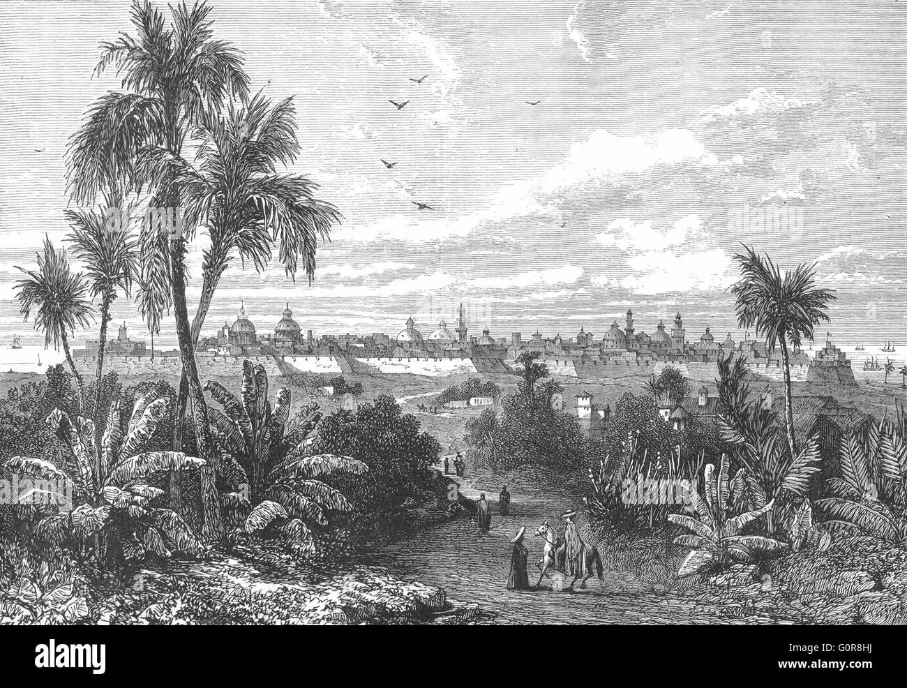 Aztec company hi-res stock photography and images - Alamy