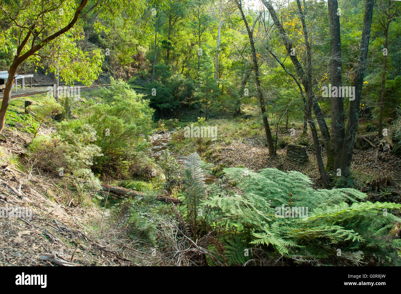 Australian Goldfields High Resolution Stock Photography and Images - Alamy