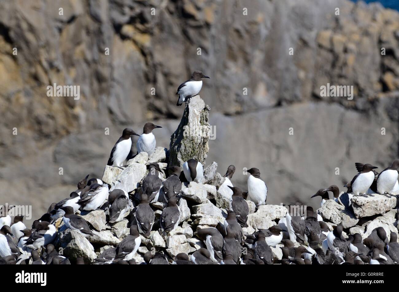 Stack rocks hi-res stock photography and images - Alamy