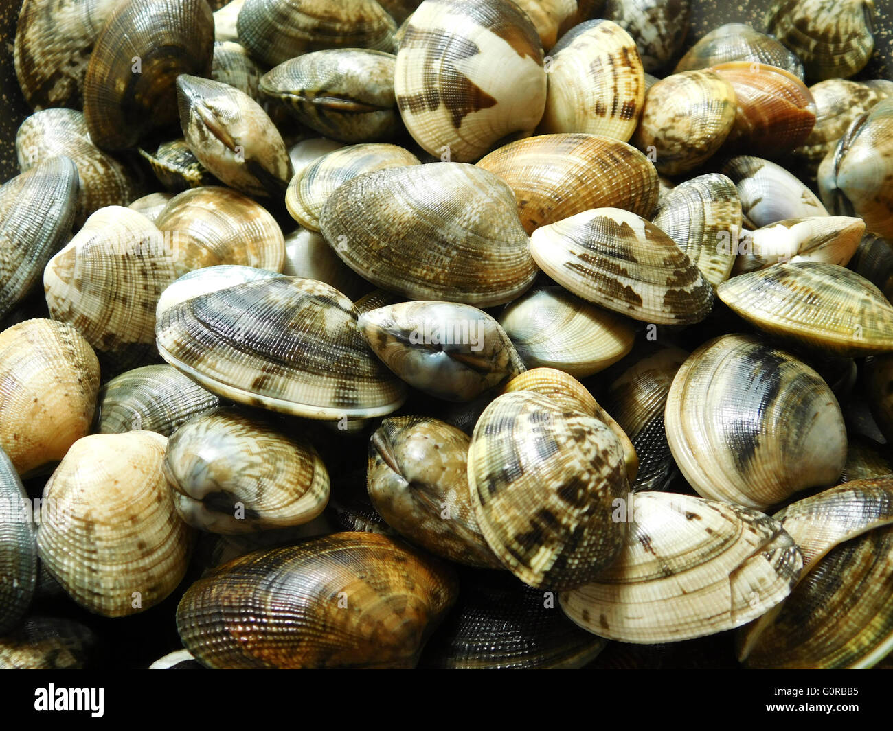 Steam clams hi-res stock photography and images - Alamy