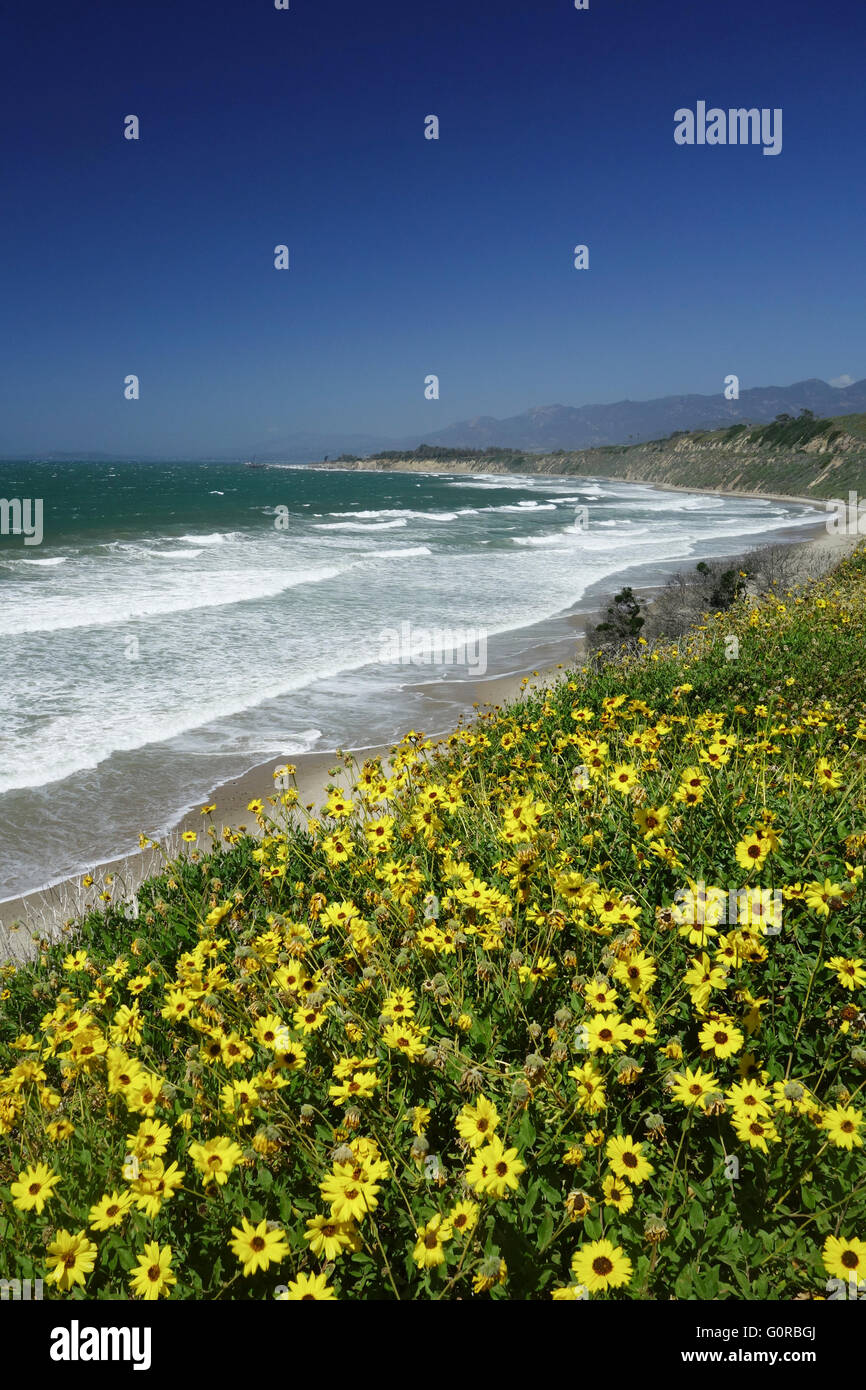 California Coast Beach Flowers Stock Photos & California Coast Beach ...