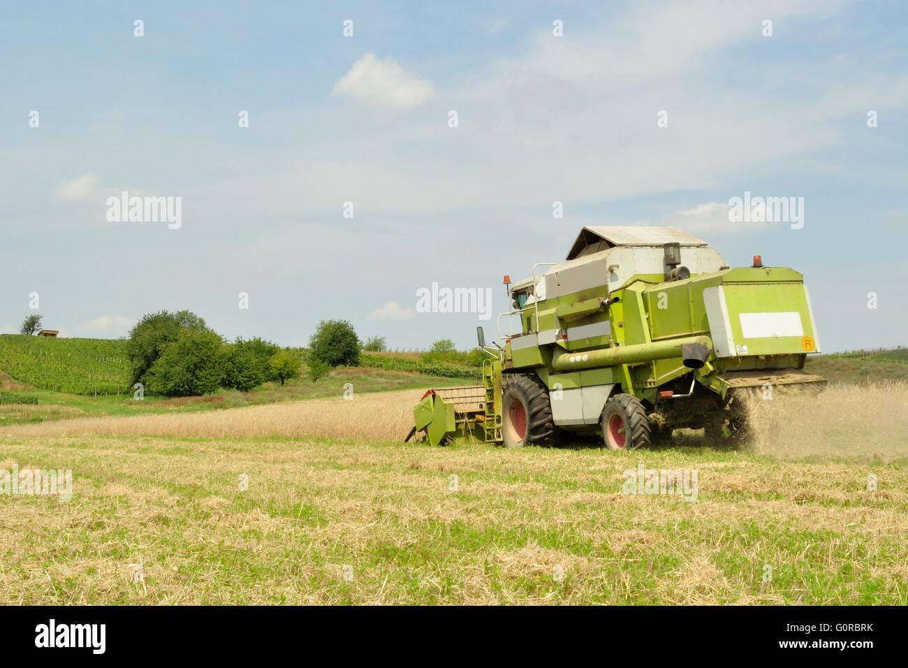 Modern combine harvester in the wheat field during harvesting Stock ...