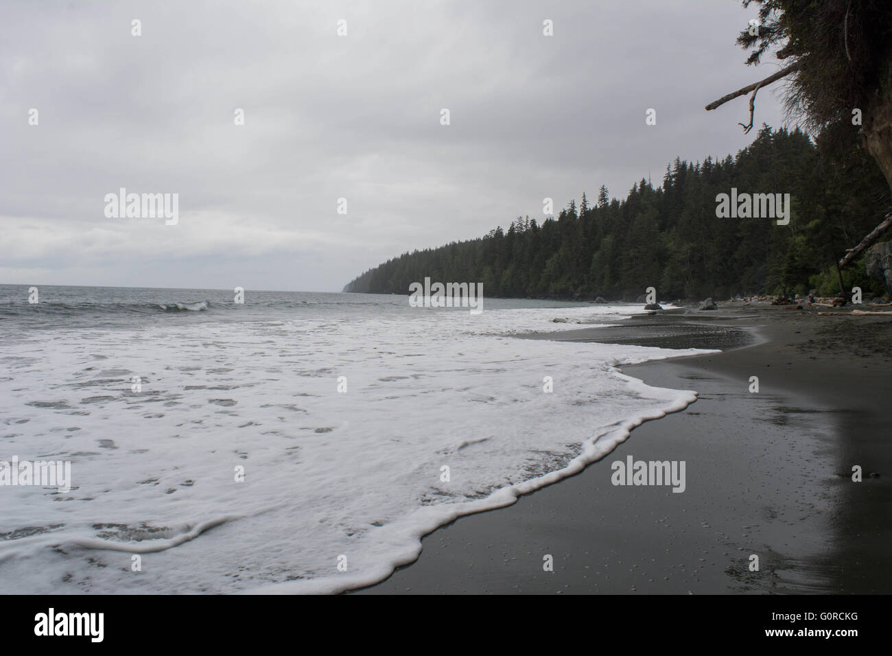 Pnw beach hi-res stock photography and images - Alamy