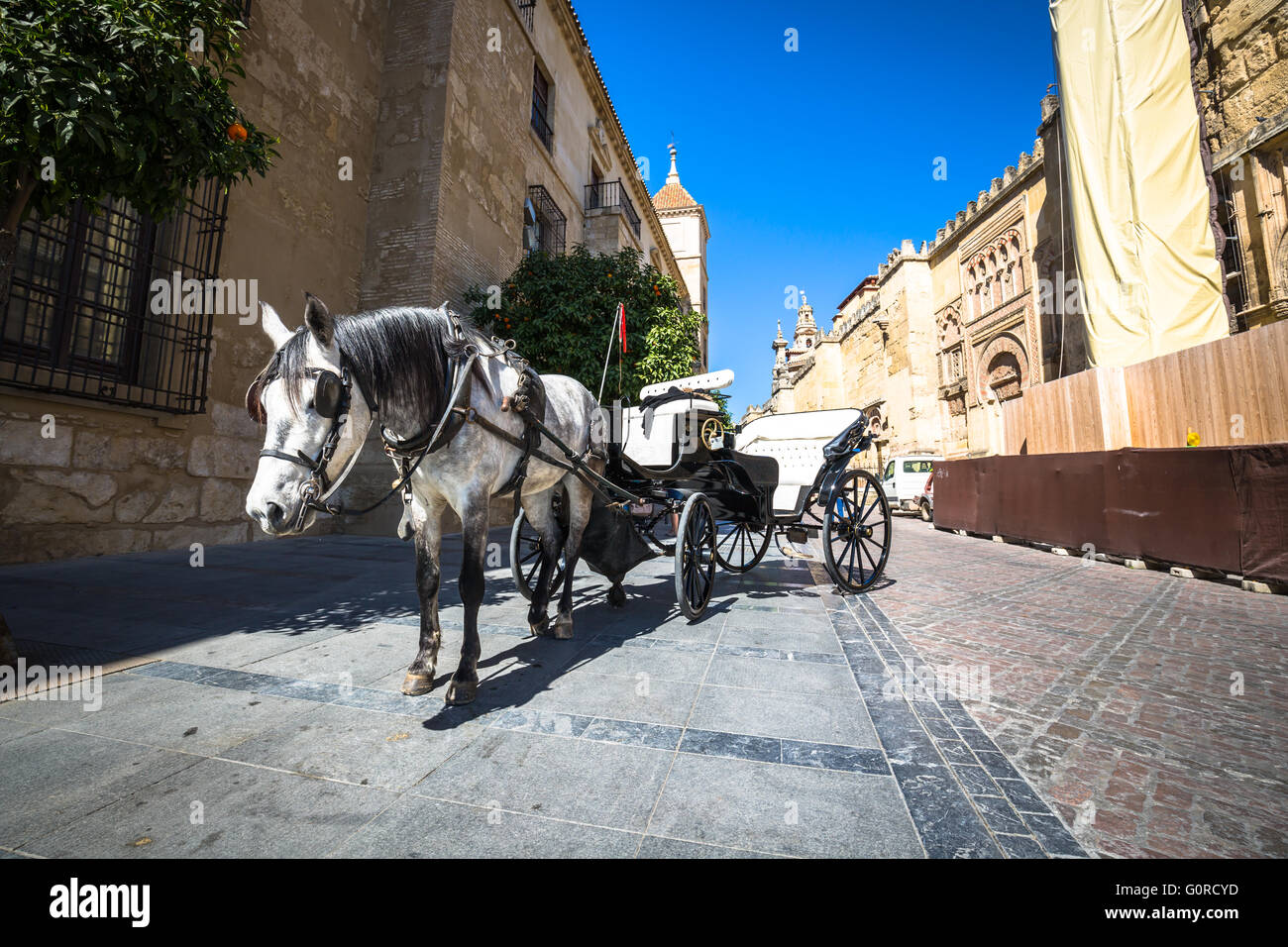 Traditional Horse and Cart at Cordoba Spain - travel background Stock ...