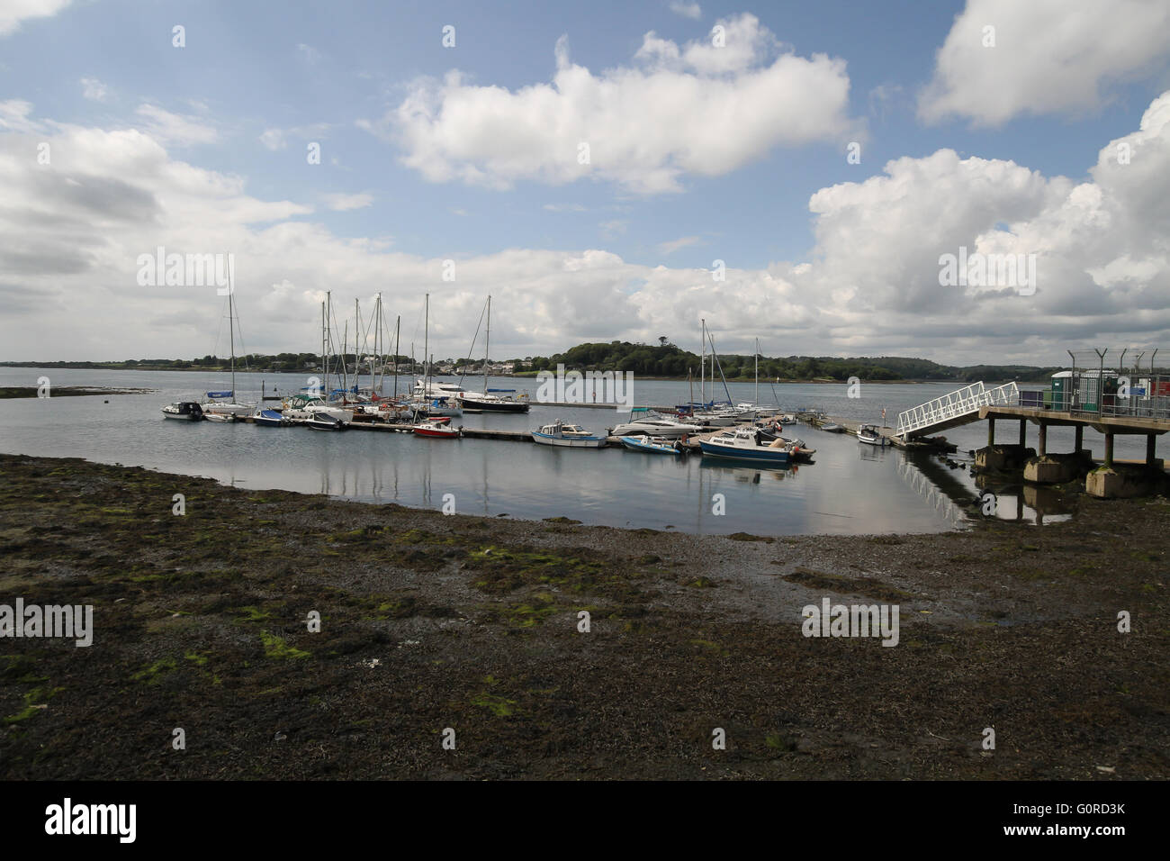 Yacht marina at the seaside village of Portaferry on Strangford Lough ...