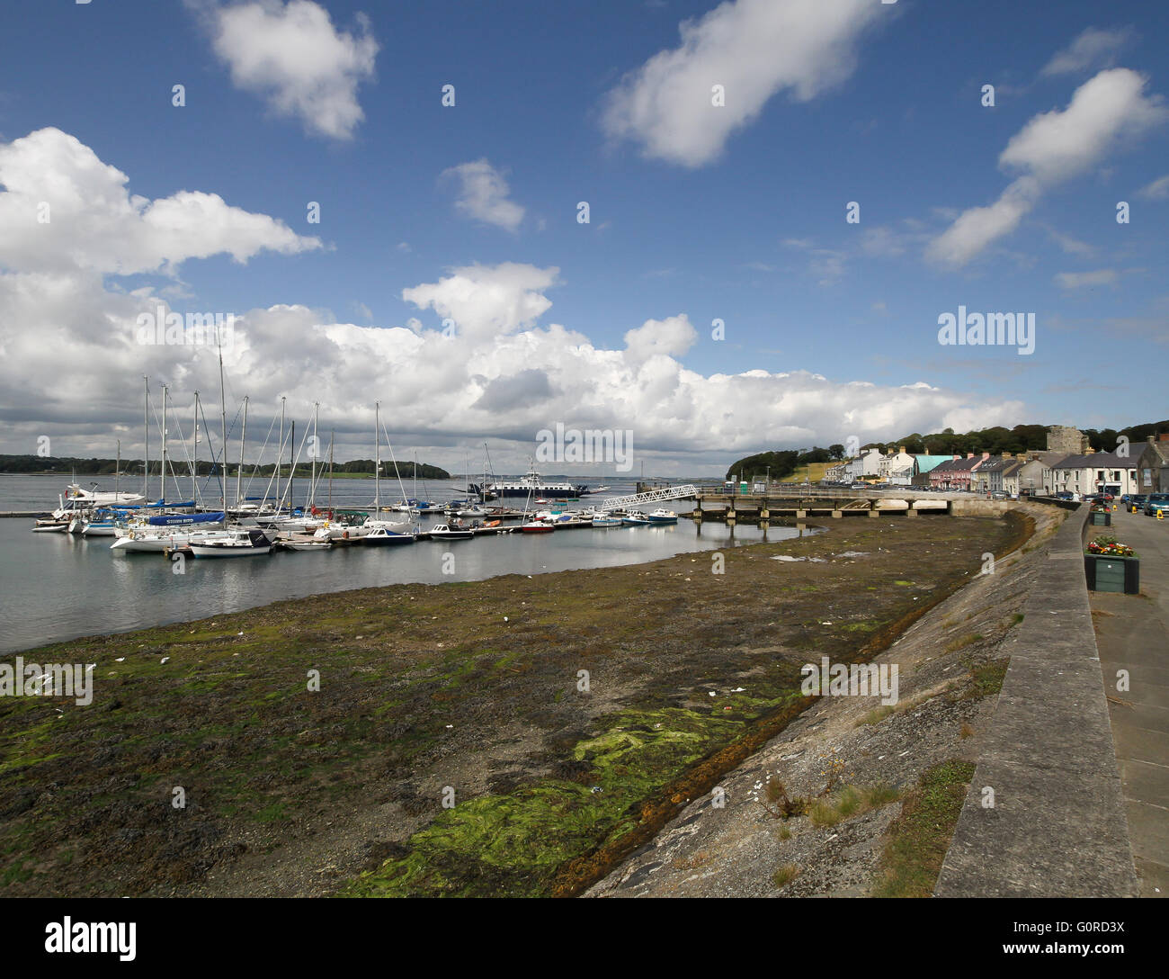 Yacht marina at the seaside village of Portaferry on Strangford Lough ...