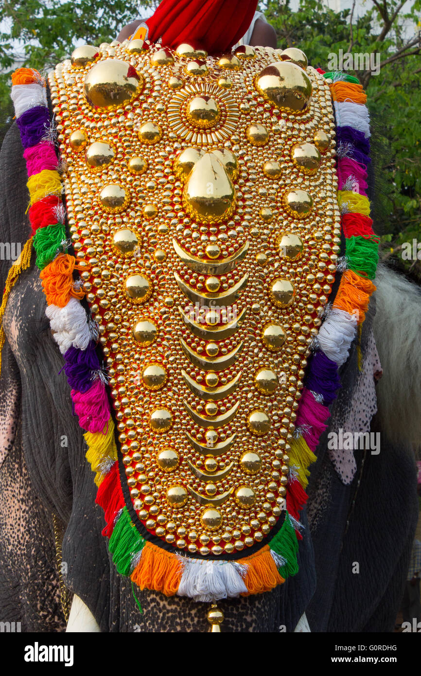 Nettipattam hi-res stock photography and images - Alamy