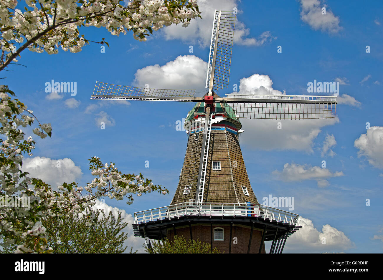 Dutch windmill in Holland, Michigan with flowering tree and summer sky ...