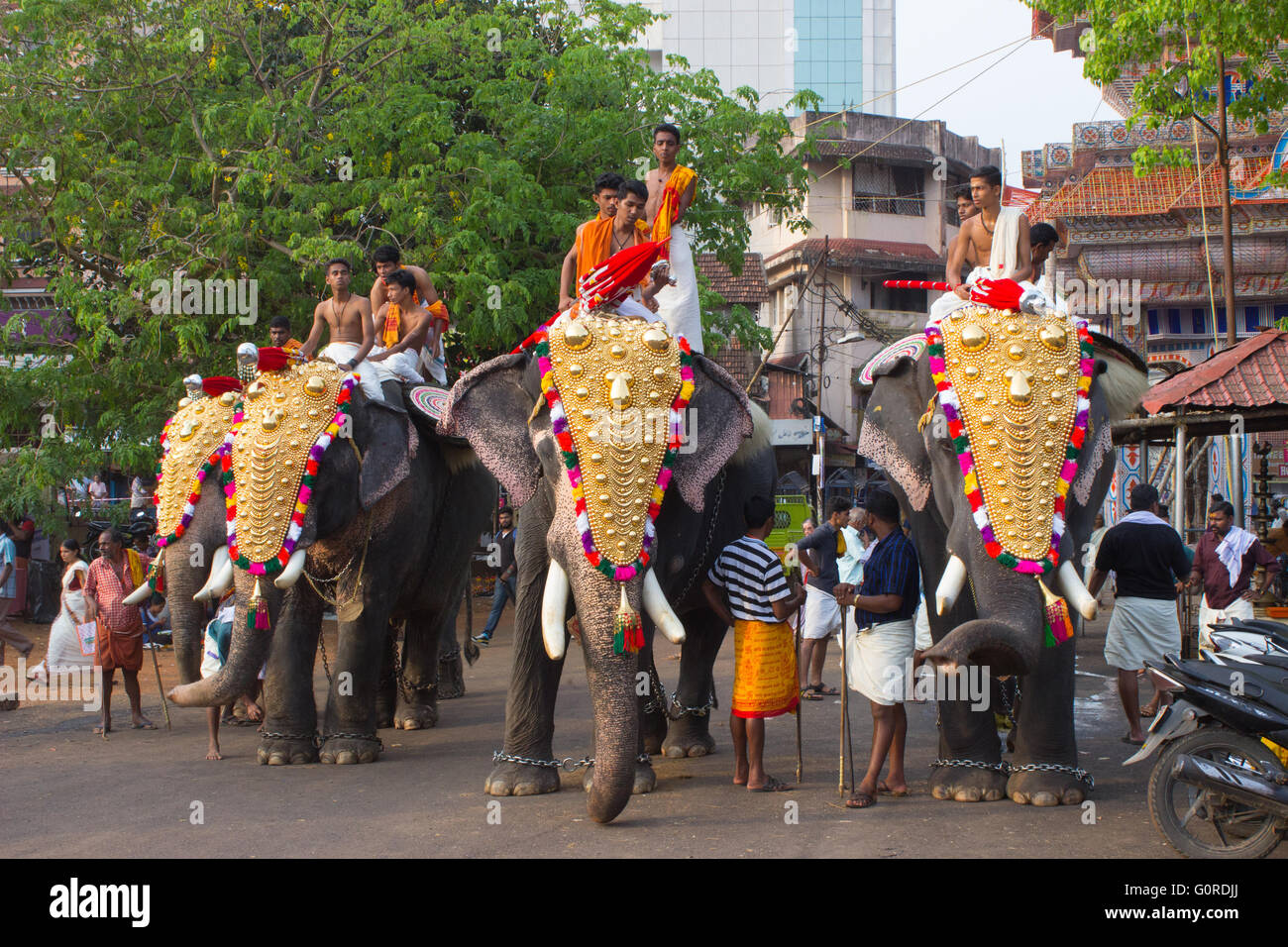Thrissur pooram was introduced by raja rama varma sakthan thampuran hi ...