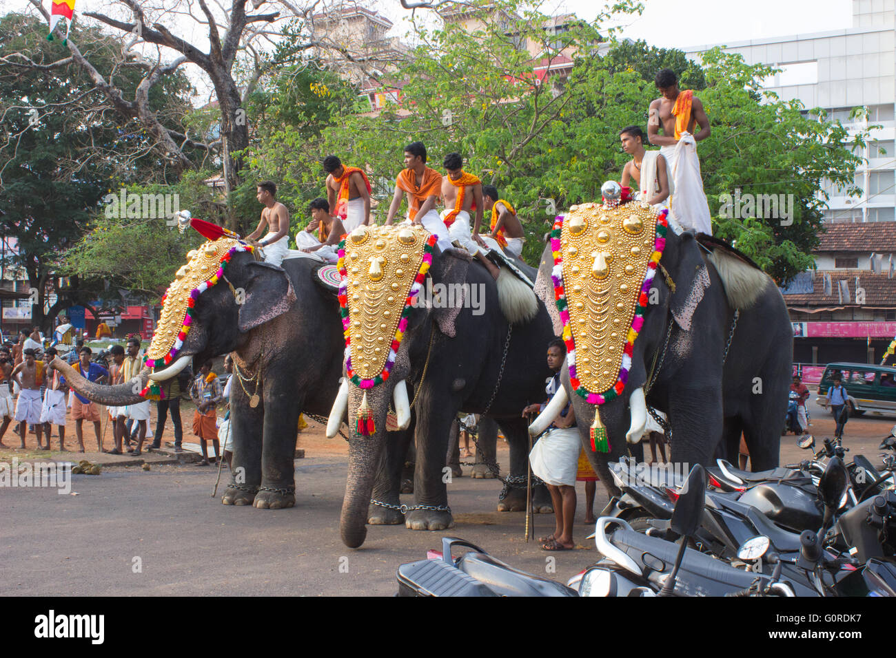 Thrissur pooram was introduced by raja rama varma sakthan thampuran hi ...