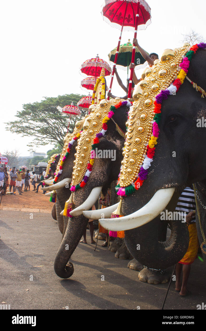 Thrissur pooram was introduced by raja rama varma sakthan thampuran hi ...