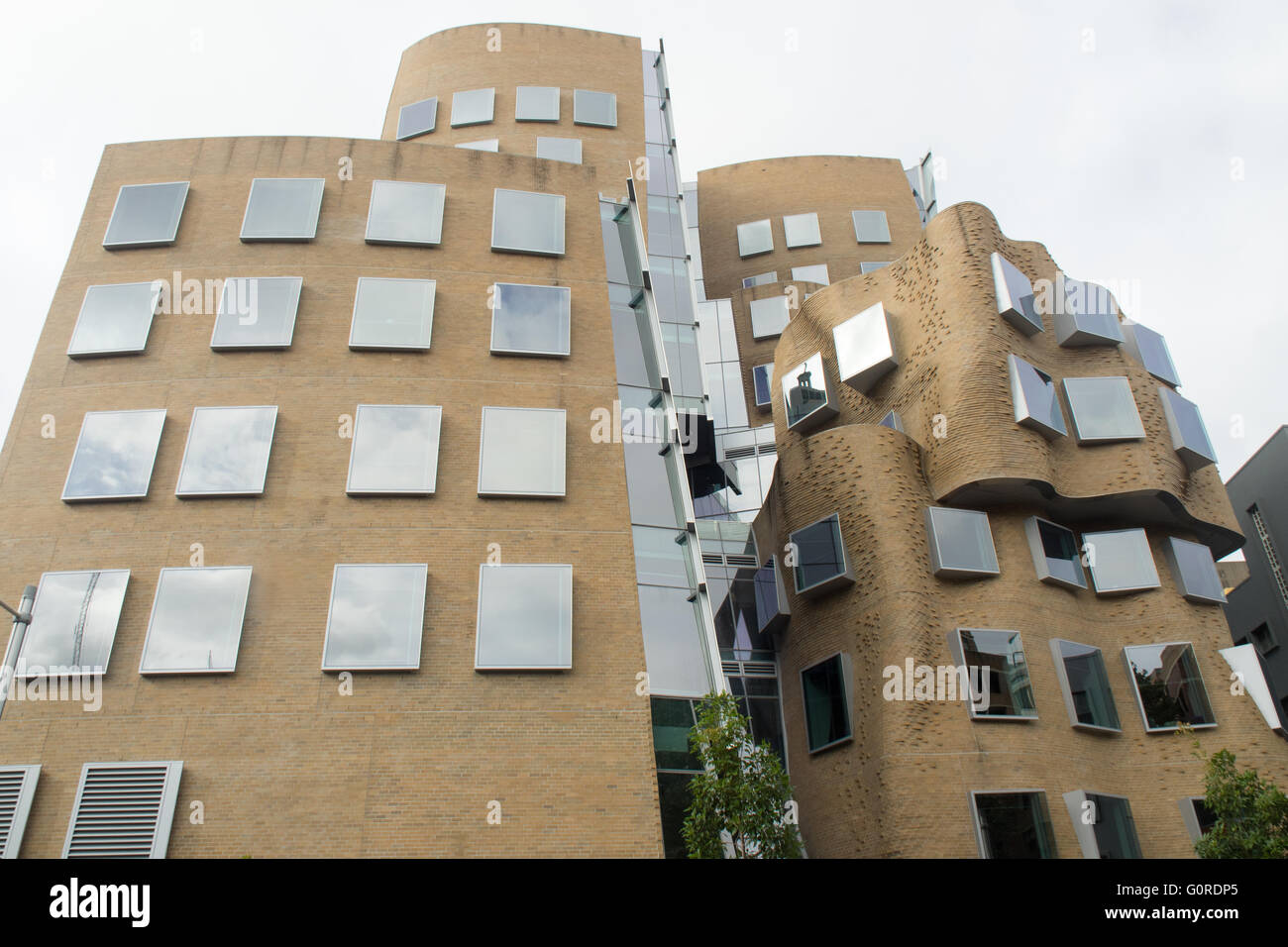 Dr Chau Chak Wing Building, designed by Frank Gehry Stock Photo - Alamy