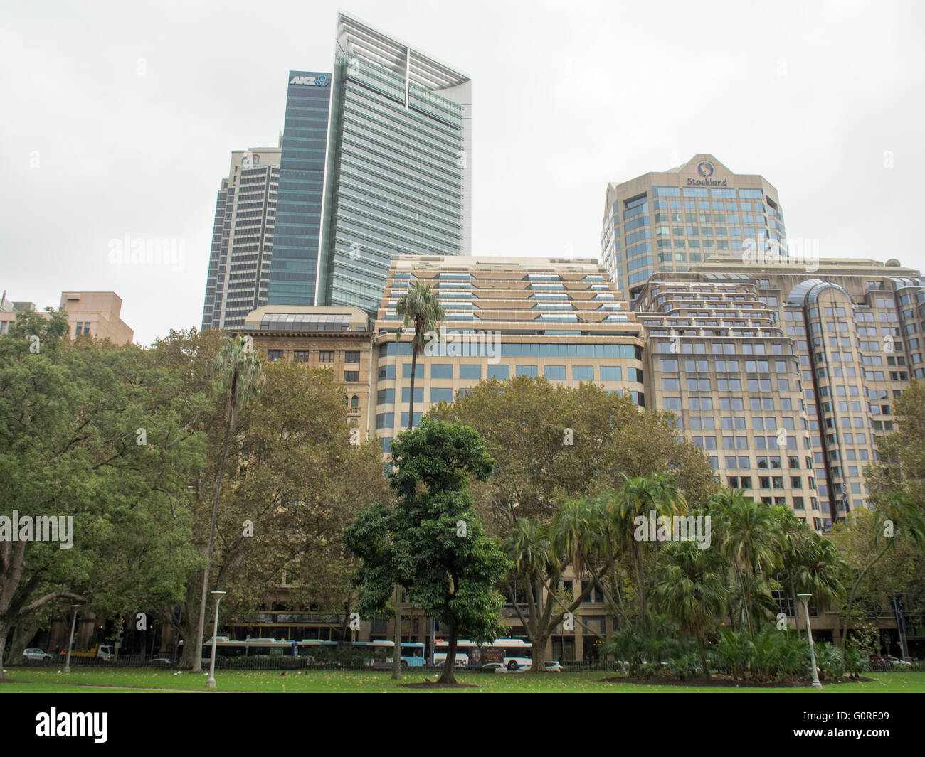 High rise buildings as a backdrop to Hyde Park, Sydney Stock Photo - Alamy