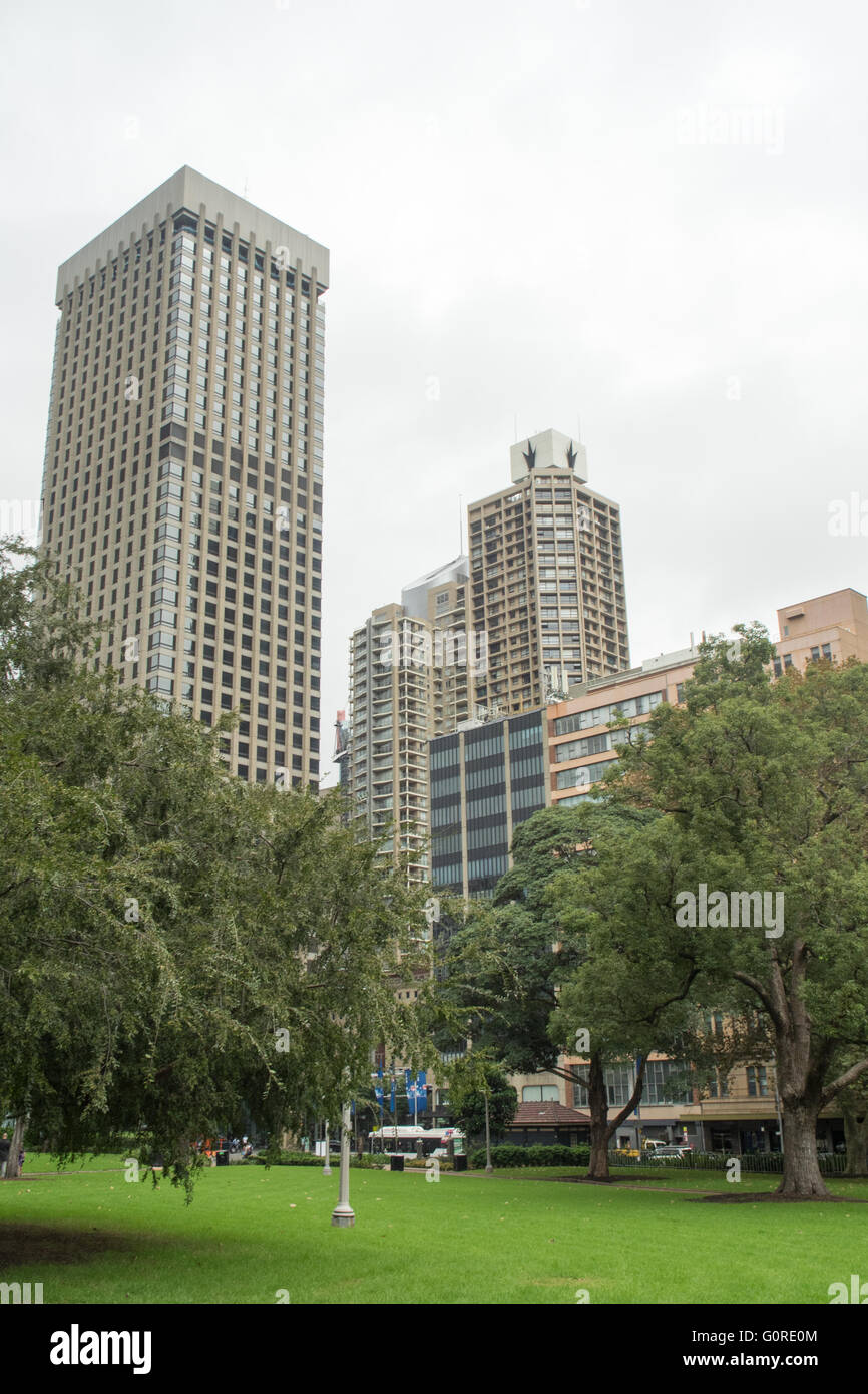 High rise buildings as a backdrop to Hyde Park, Sydney Stock Photo - Alamy