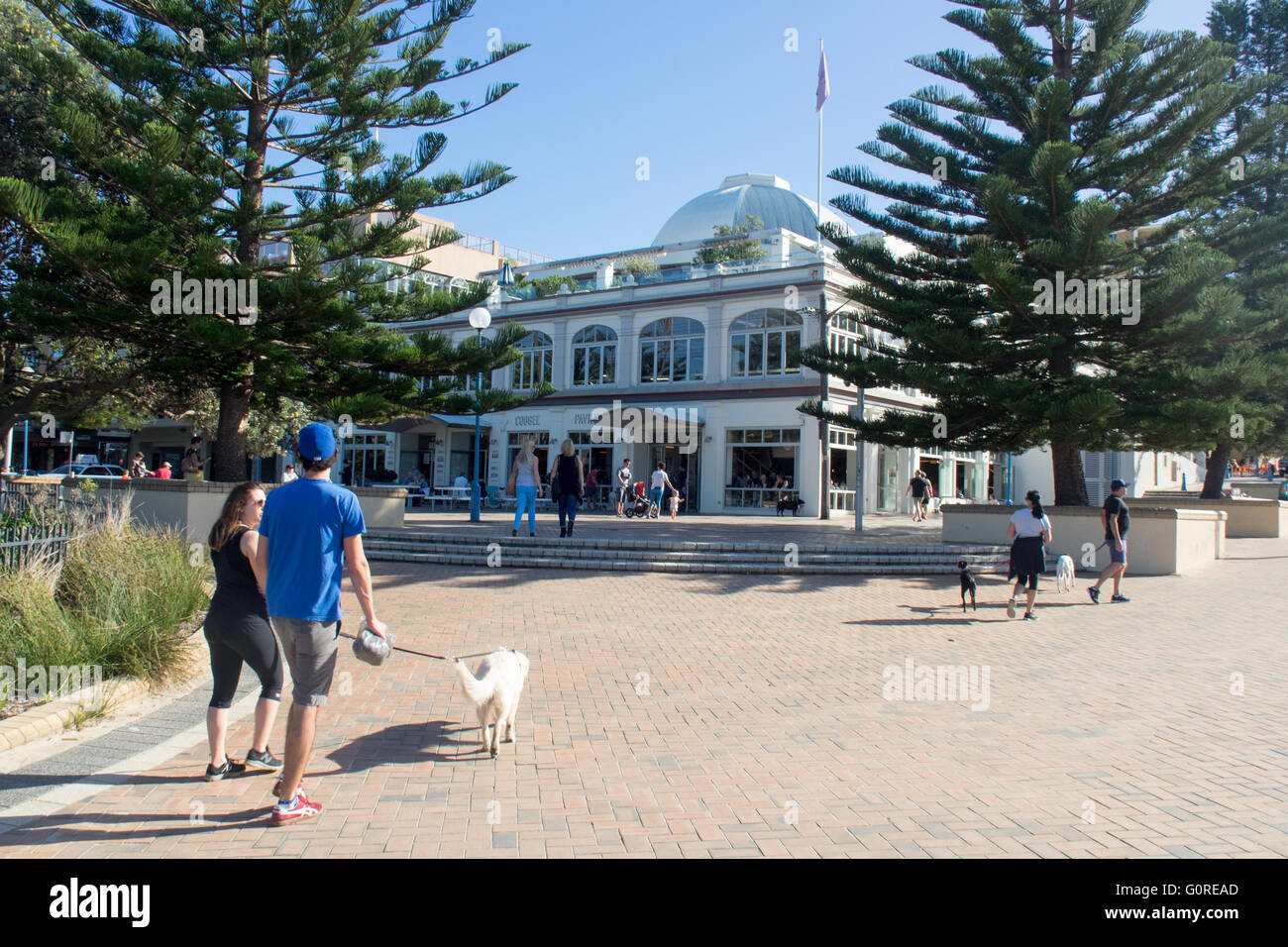 Couples walking their dogs on the esplanade at Coogee, Sydney Stock ...