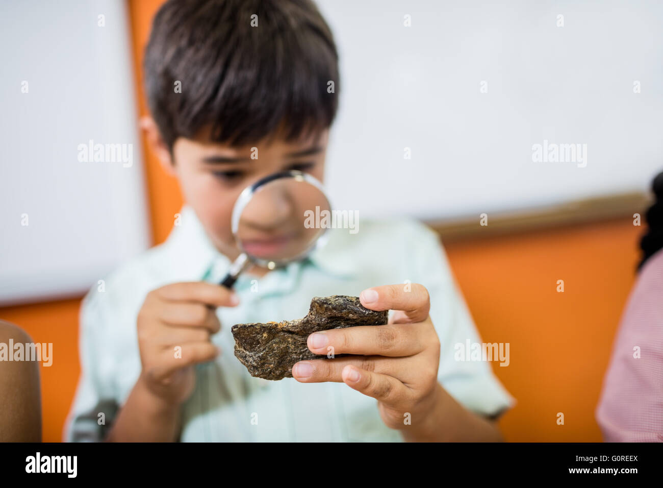 Boy studying fossil hi-res stock photography and images - Alamy