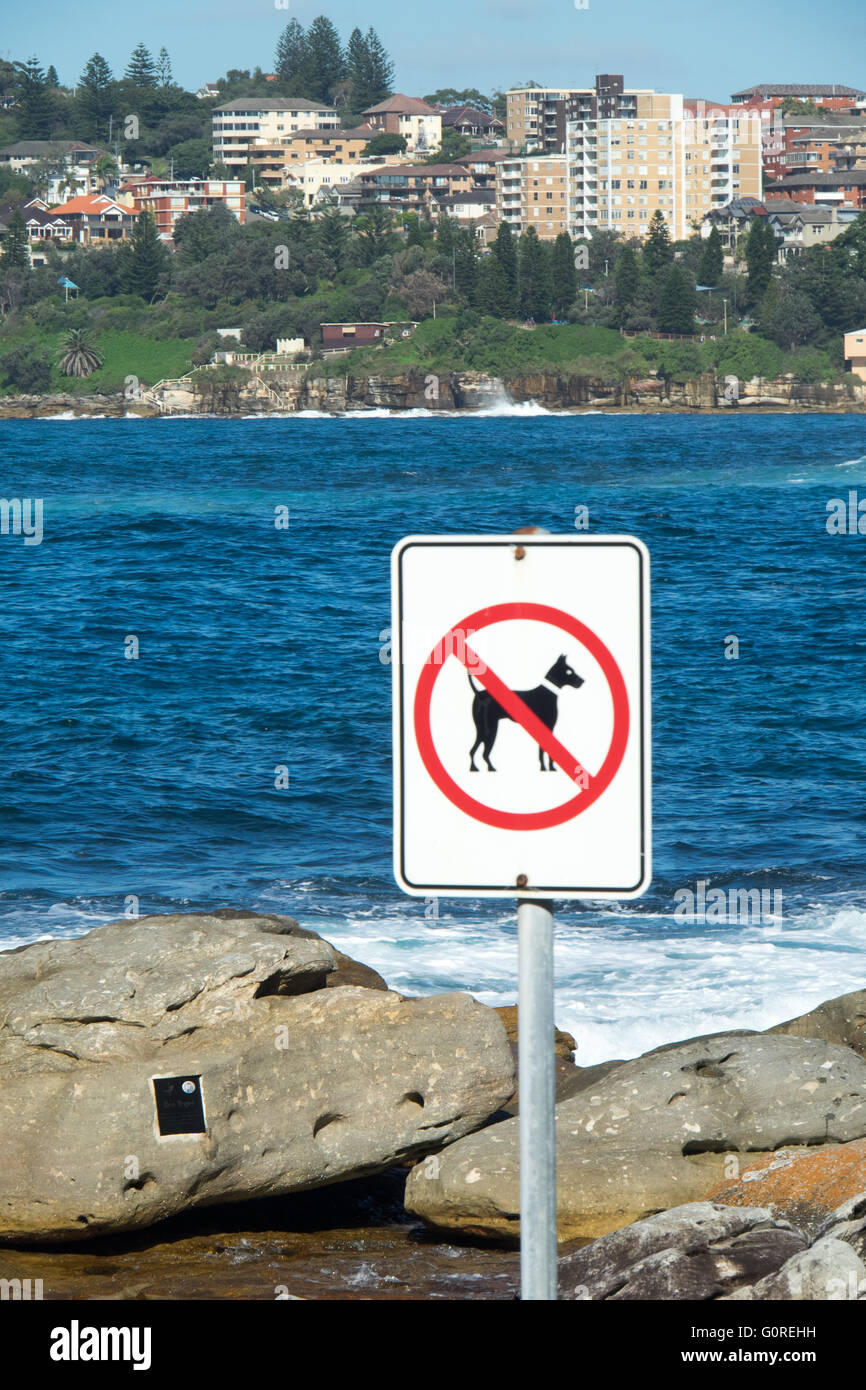 A "No dogs allowed" sign at the coast in Coogee, Sydney Stock Photo - Alamy