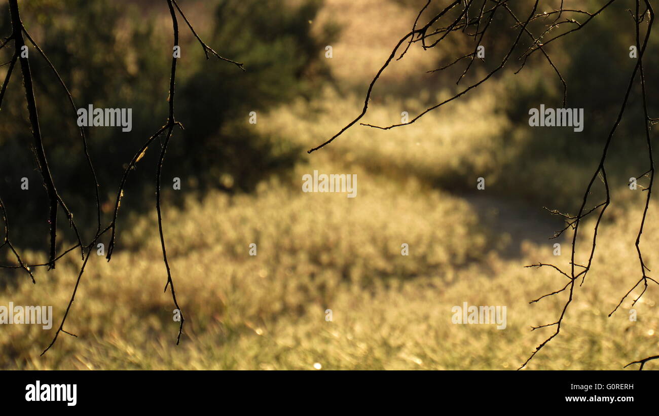 Lighted trail hi-res stock photography and images - Alamy