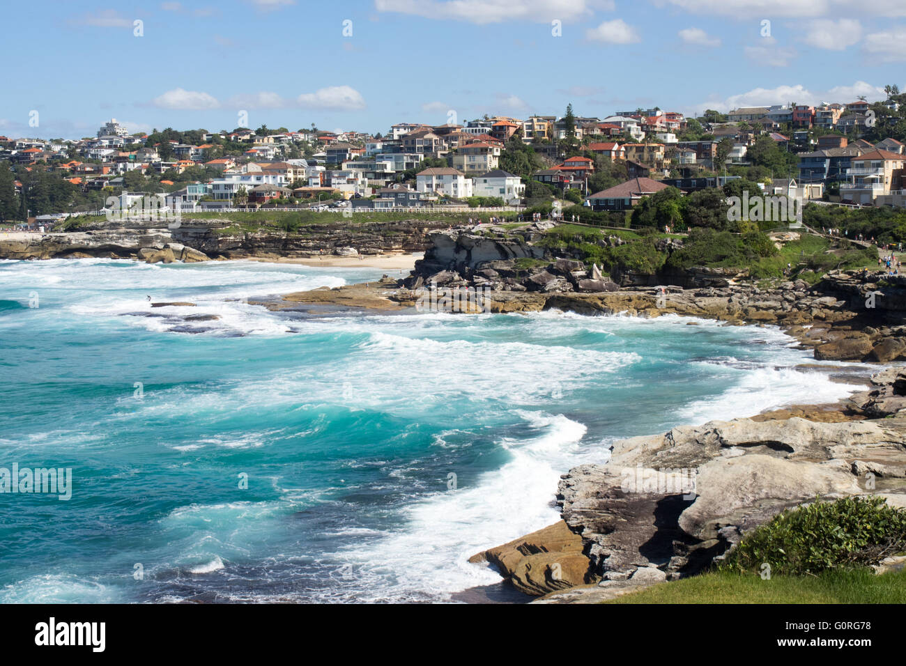 Tamarama coastal walk hi-res stock photography and images - Alamy