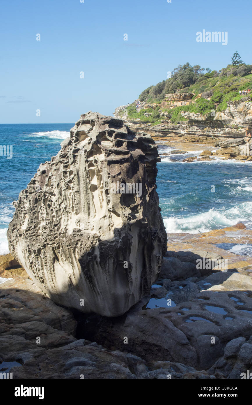 A large fallen sandstone rock on the Coastal Walk path south of Bondi ...