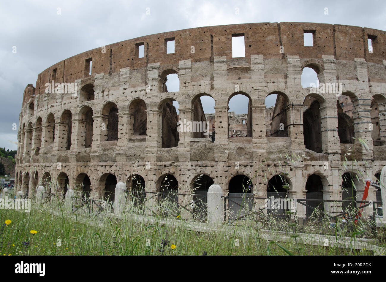 Flowers at springtime by the Colosseum in Rome, Italy Stock Photo - Alamy
