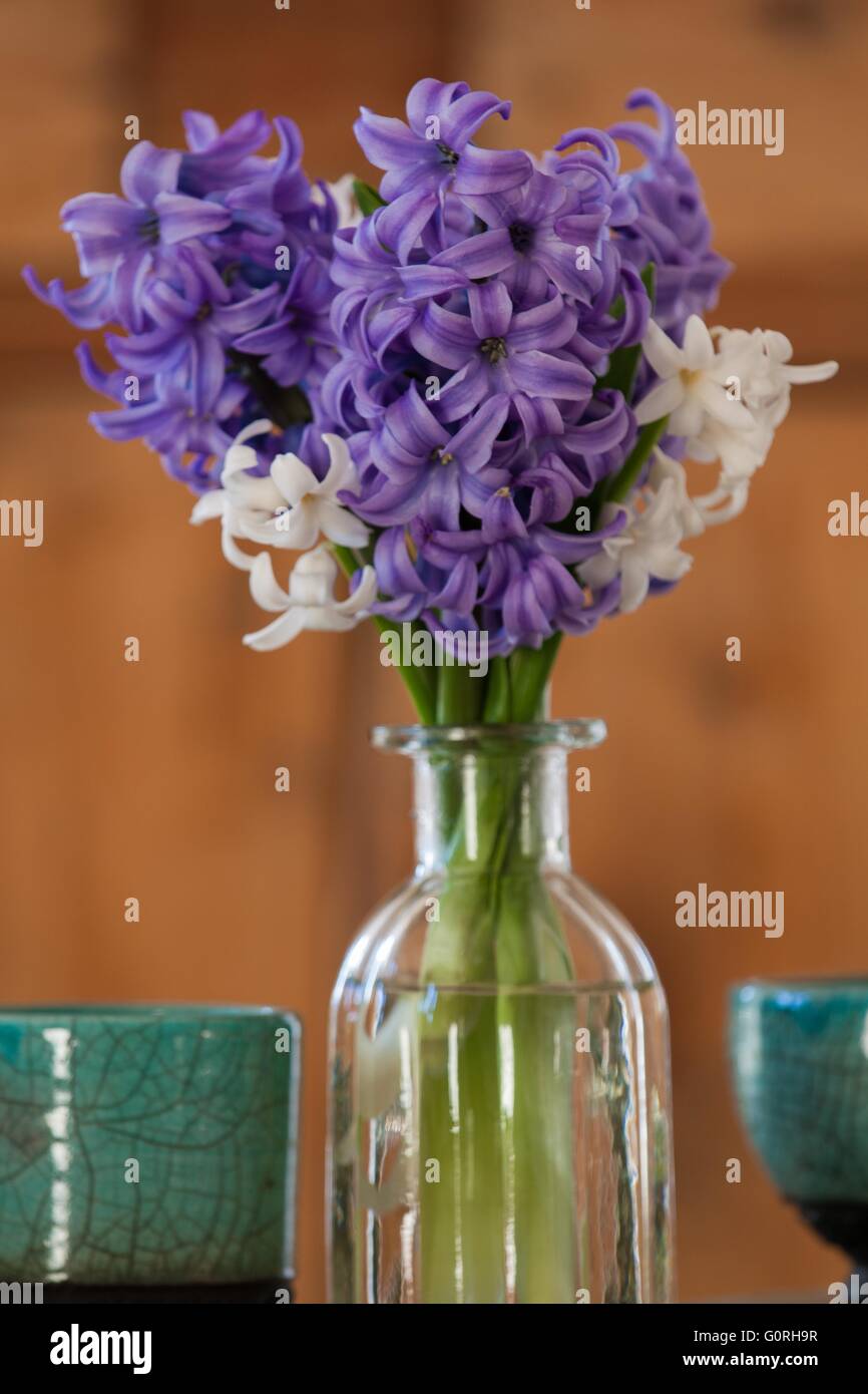Vase vertical hi-res stock photography and images - Alamy