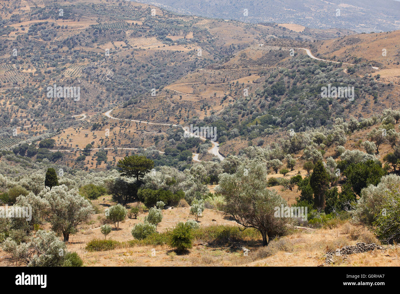 Amari valley in Crete with trees and road. Greece. Horizontal Stock ...