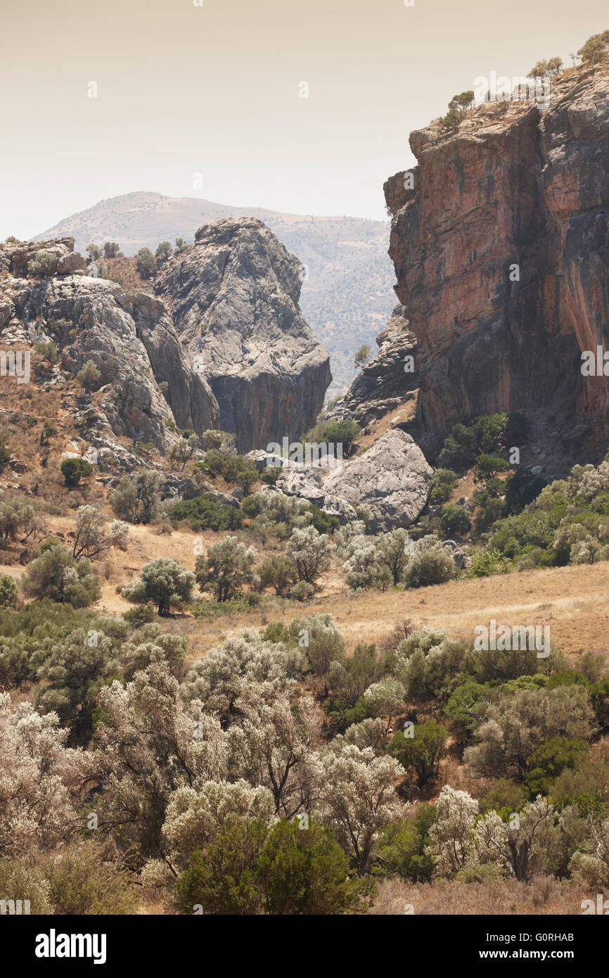 Amari valley in Crete with trees and road. Greece. Vertical Stock Photo ...