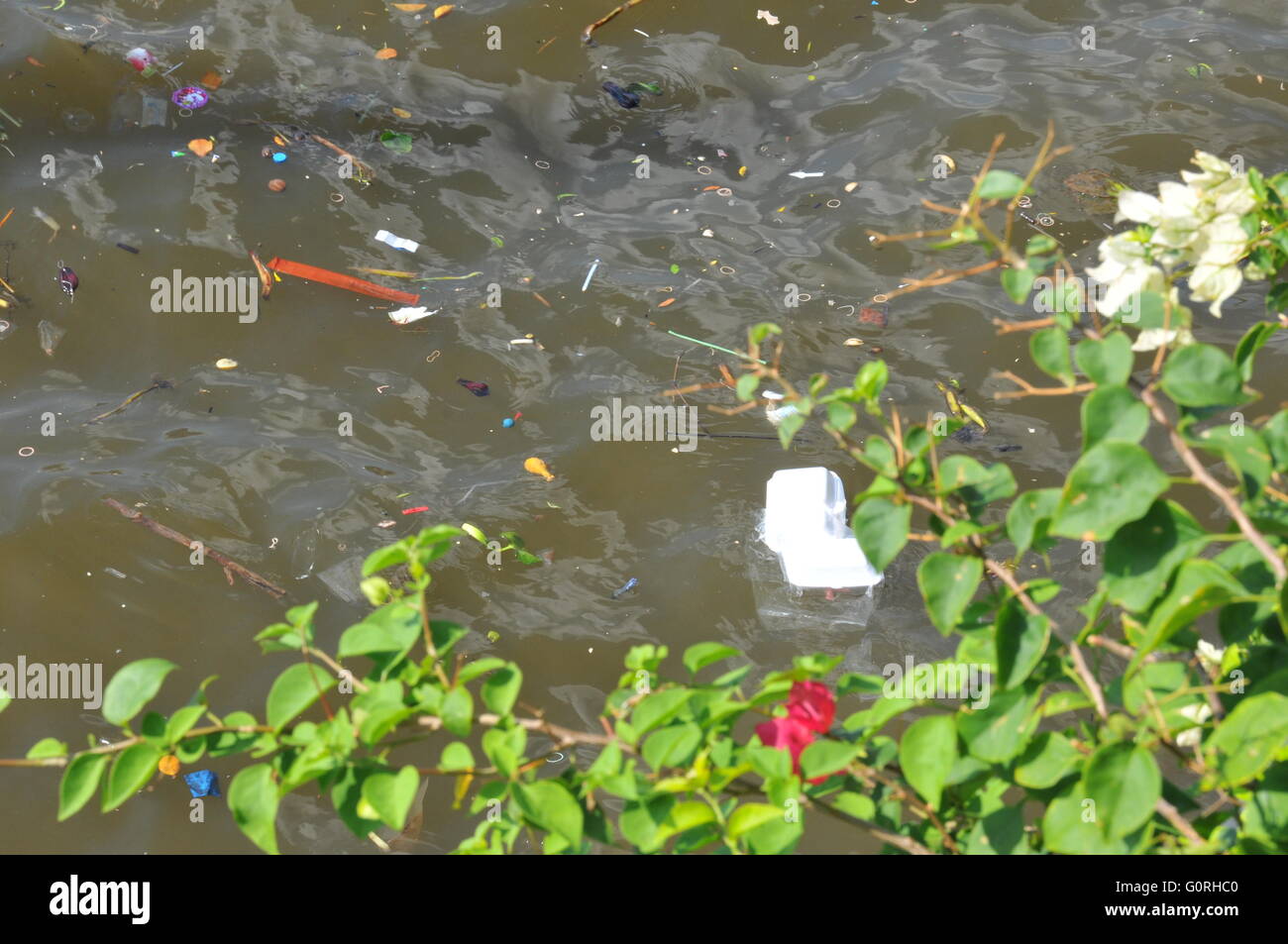Plastic waste floating down a river causing pollution in a river in ...