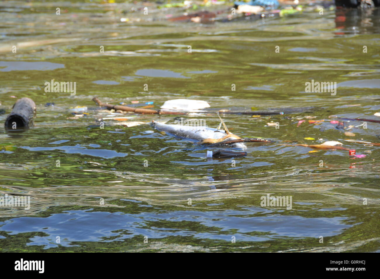 Plastic waste floating down a river causing pollution in a river in ...