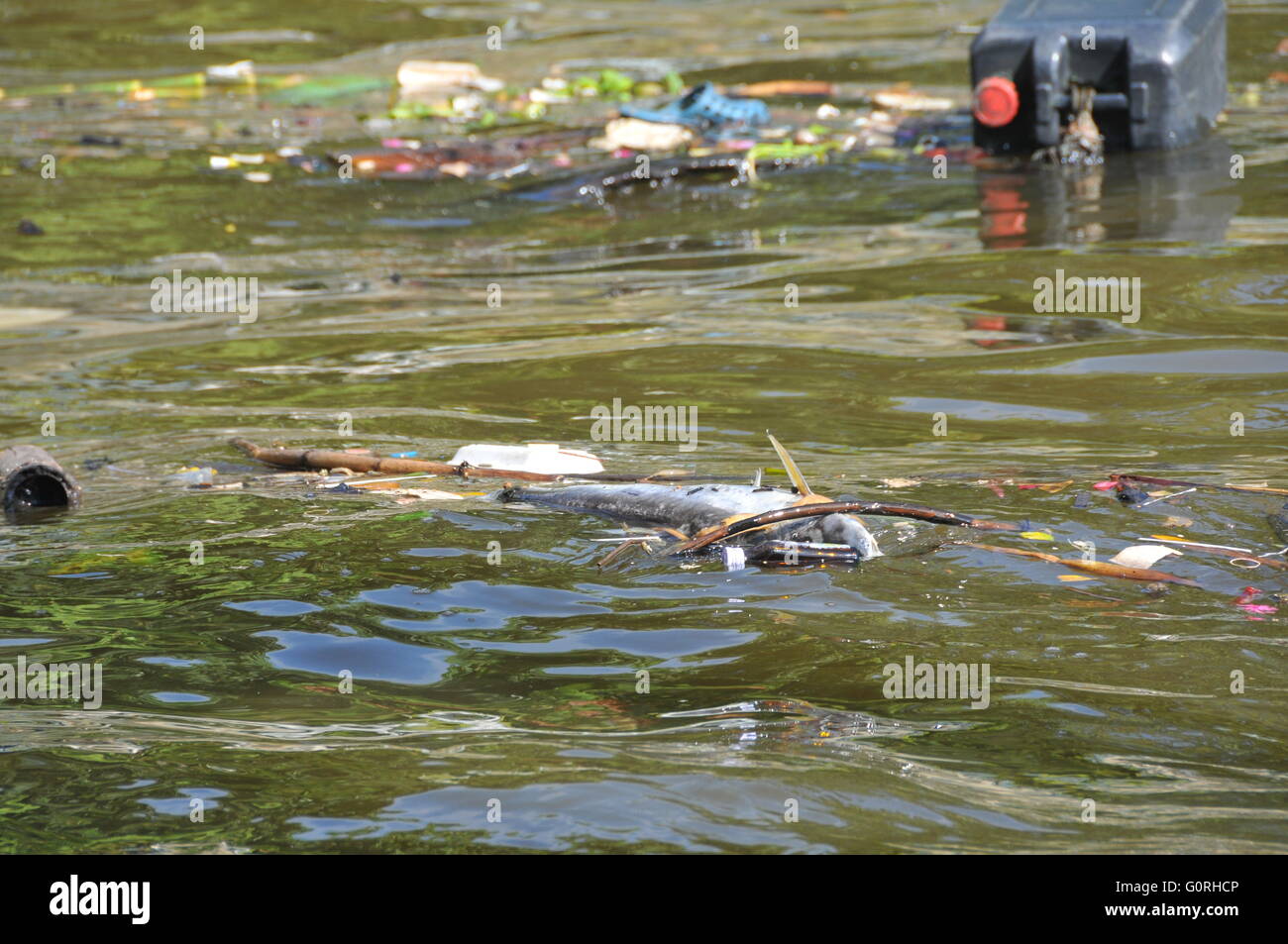 Plastic waste floating down a river causing pollution in a river in ...