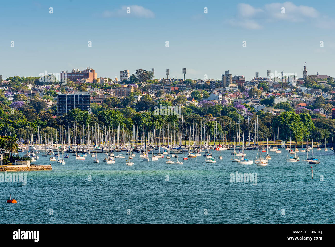 View on many sailboats and residential housing in Double Bay from ...