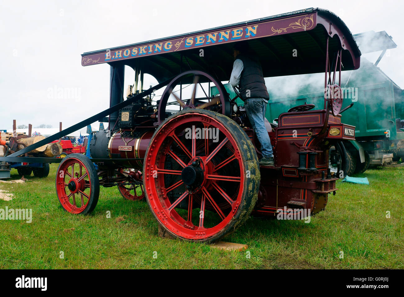 STEAM TRACTION ENGINE. ELIZABETH, No 3902, REGISTRATION MA7503 Stock ...