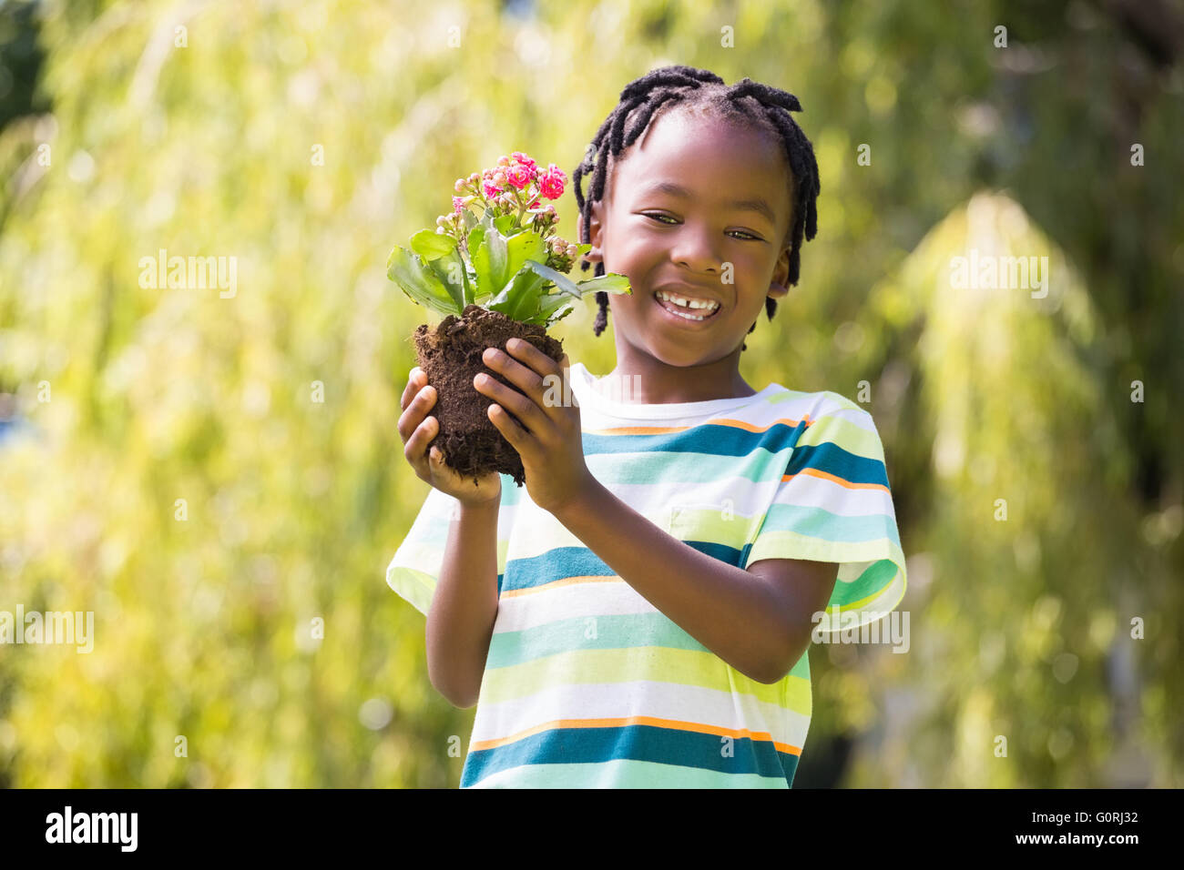 Black boy plant hi-res stock photography and images - Alamy